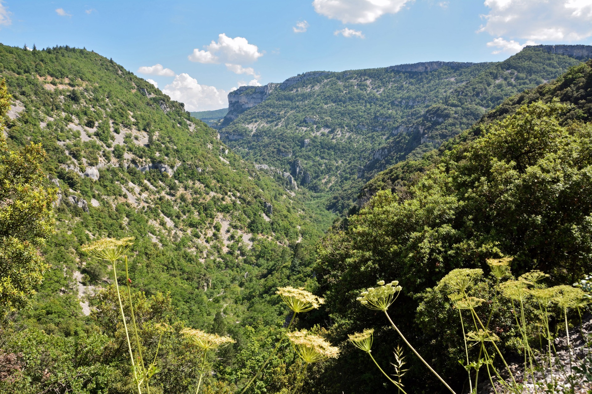Frankrijk Provence 2019 :: Fransje-Grisnich-Foto